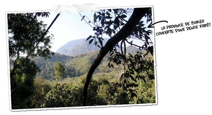 La réserve naturelle de Bokéo un exemple de tourisme responsable